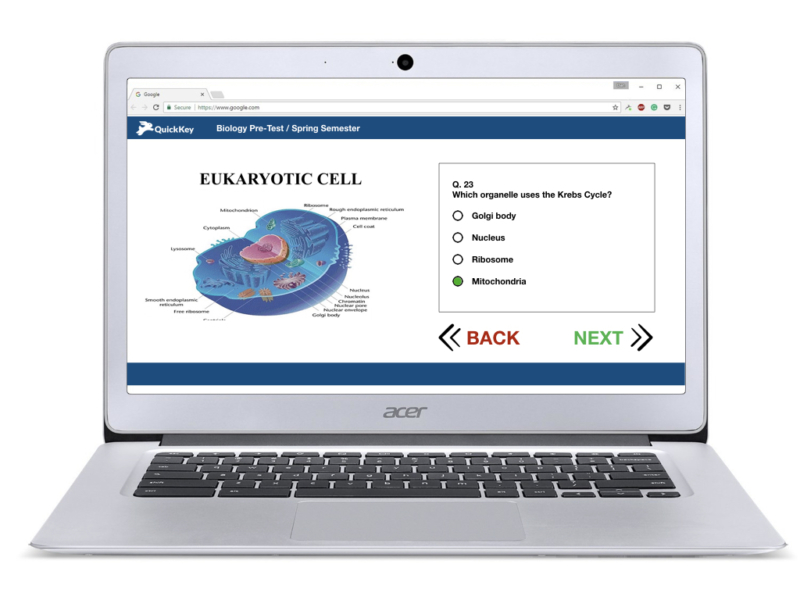 Home Validated Learning Quick Key Iosandroid Quiz And Formative Assessment